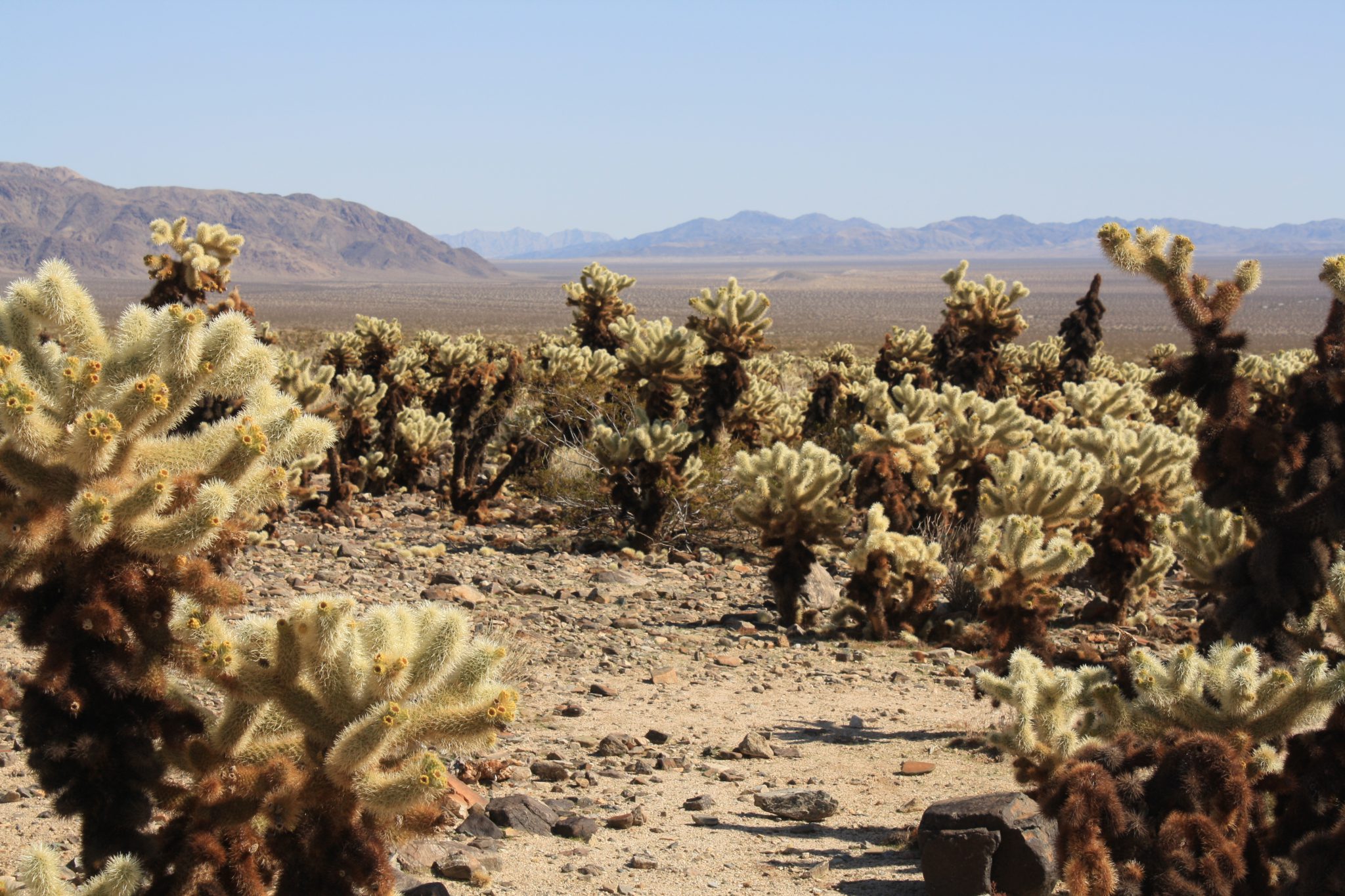 Travelita: Interview: Monica Fish